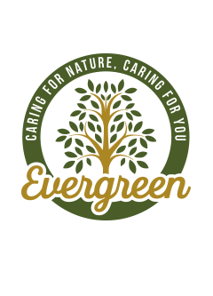 Evergreen Naturals – Need Tissue?